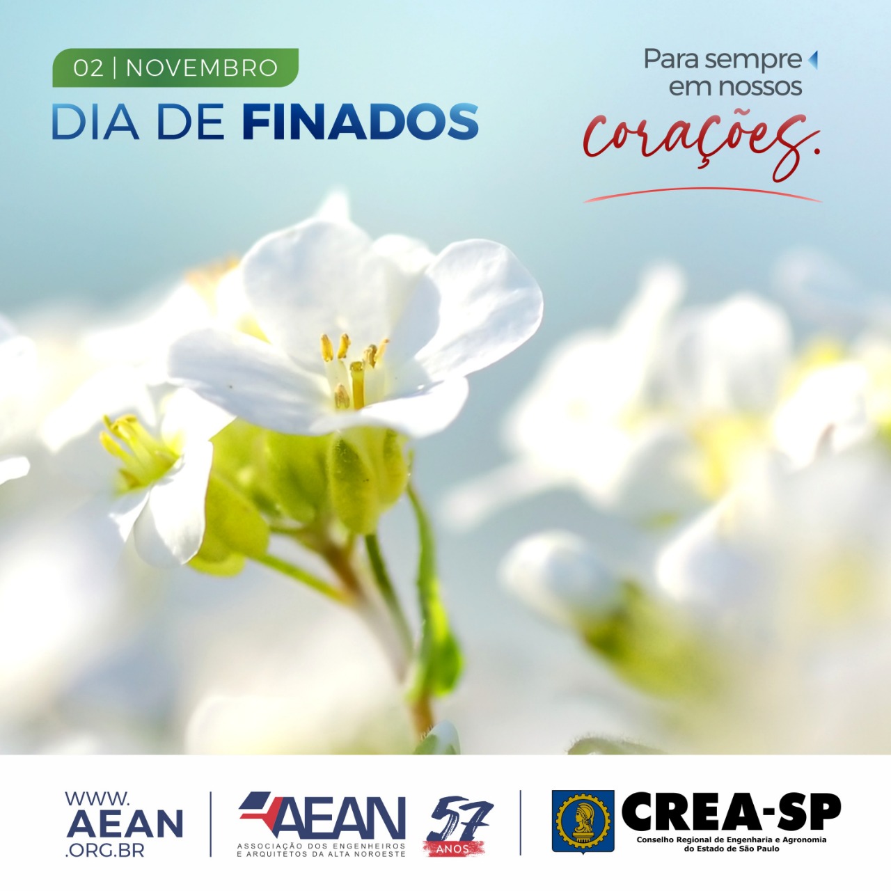 HOMENAGEM: 2 de Novembro, Dia de Finados – AEAN