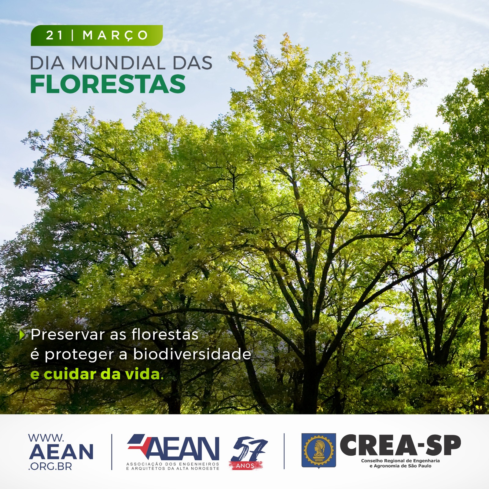 CELEBRAÇÃO: 21 de Março, Dia Internacional das Florestas – AEAN