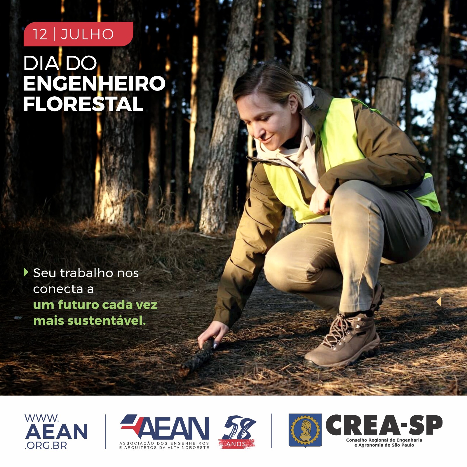CELEBRAÇÃO: 12 de Julho, Dia Do Engenheiro Florestal – AEAN